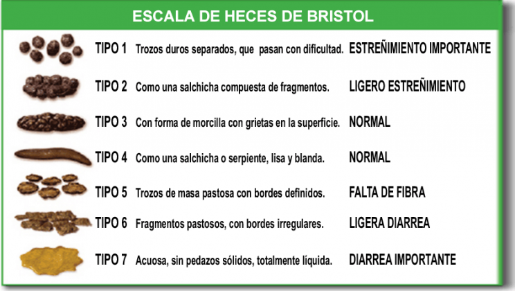 Conoces La Escala De Heces De Bristol Casimedicos Estudiantes